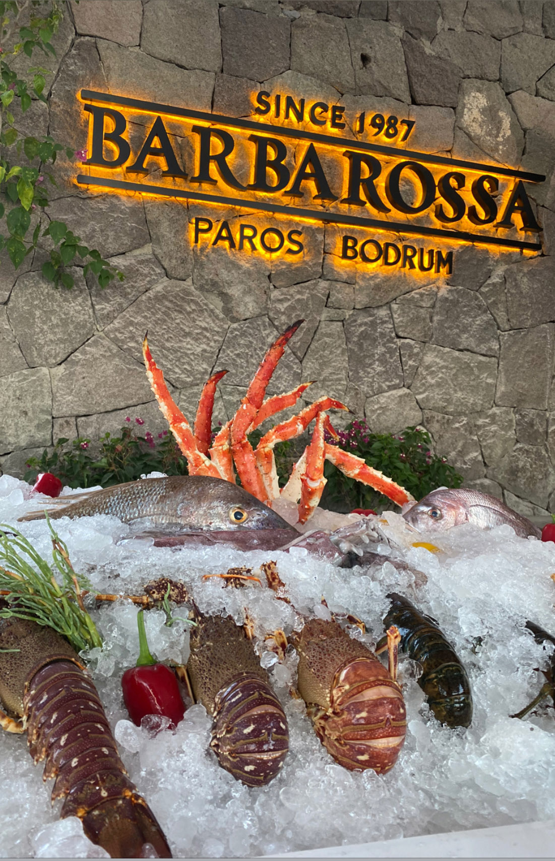 Barbarossa Bodrum – Barbarossa